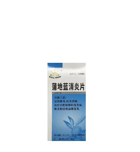 WELL HERB PUDILAN ANTIPHLOGISTIC TABLETS 100 TBS — Premium Co Groceries
