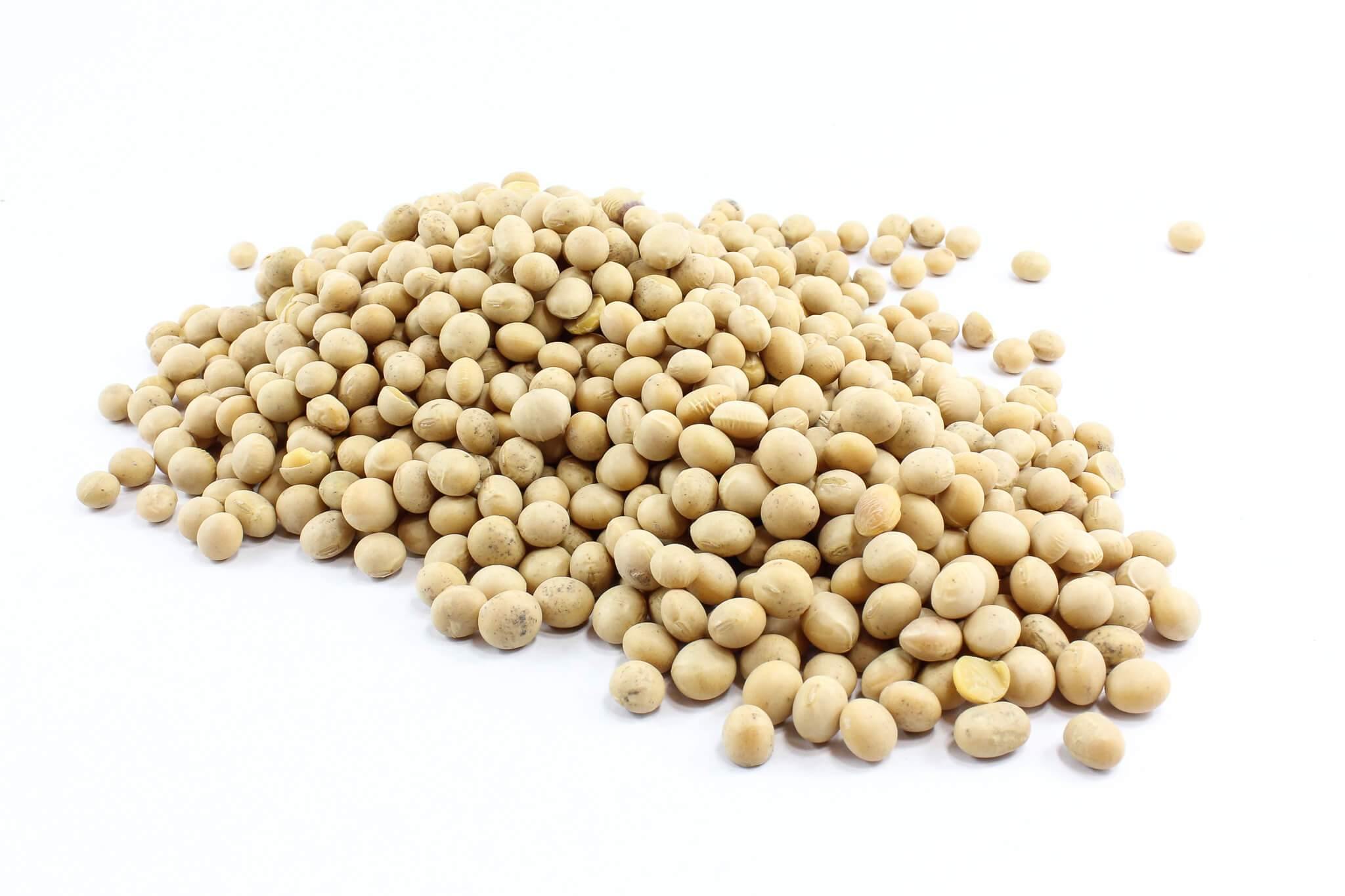 RAW SOY BEAN 1 KG — Premium Co Groceries